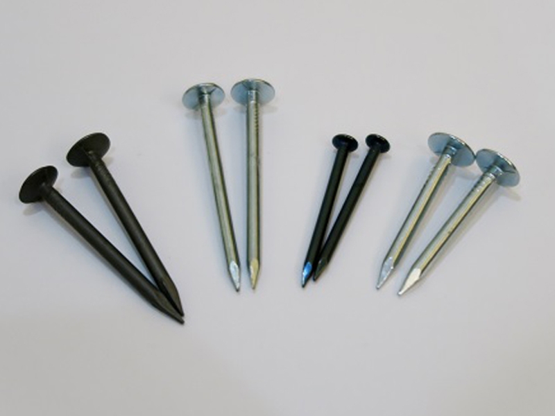 Drywall Nails DrywallNails